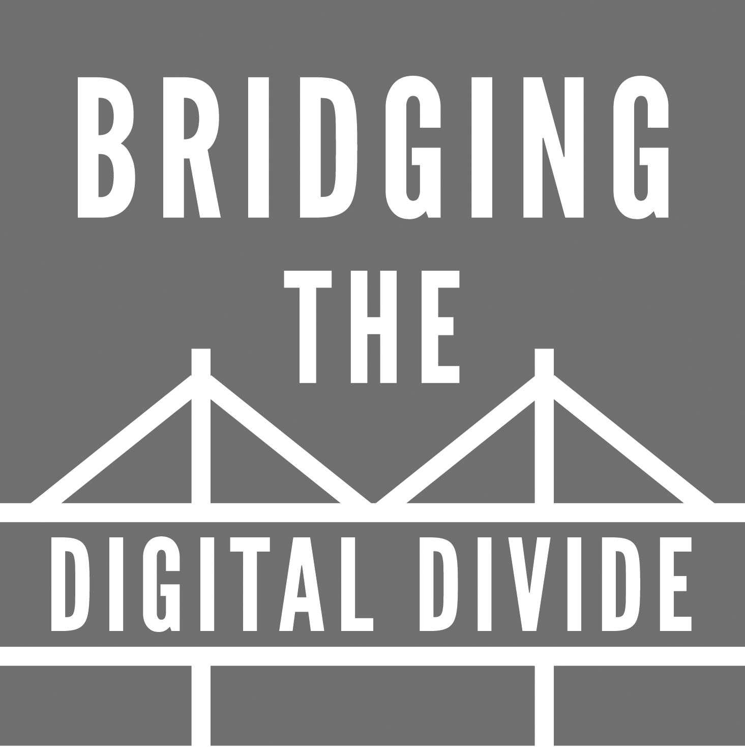 The Digital Divide The State Times