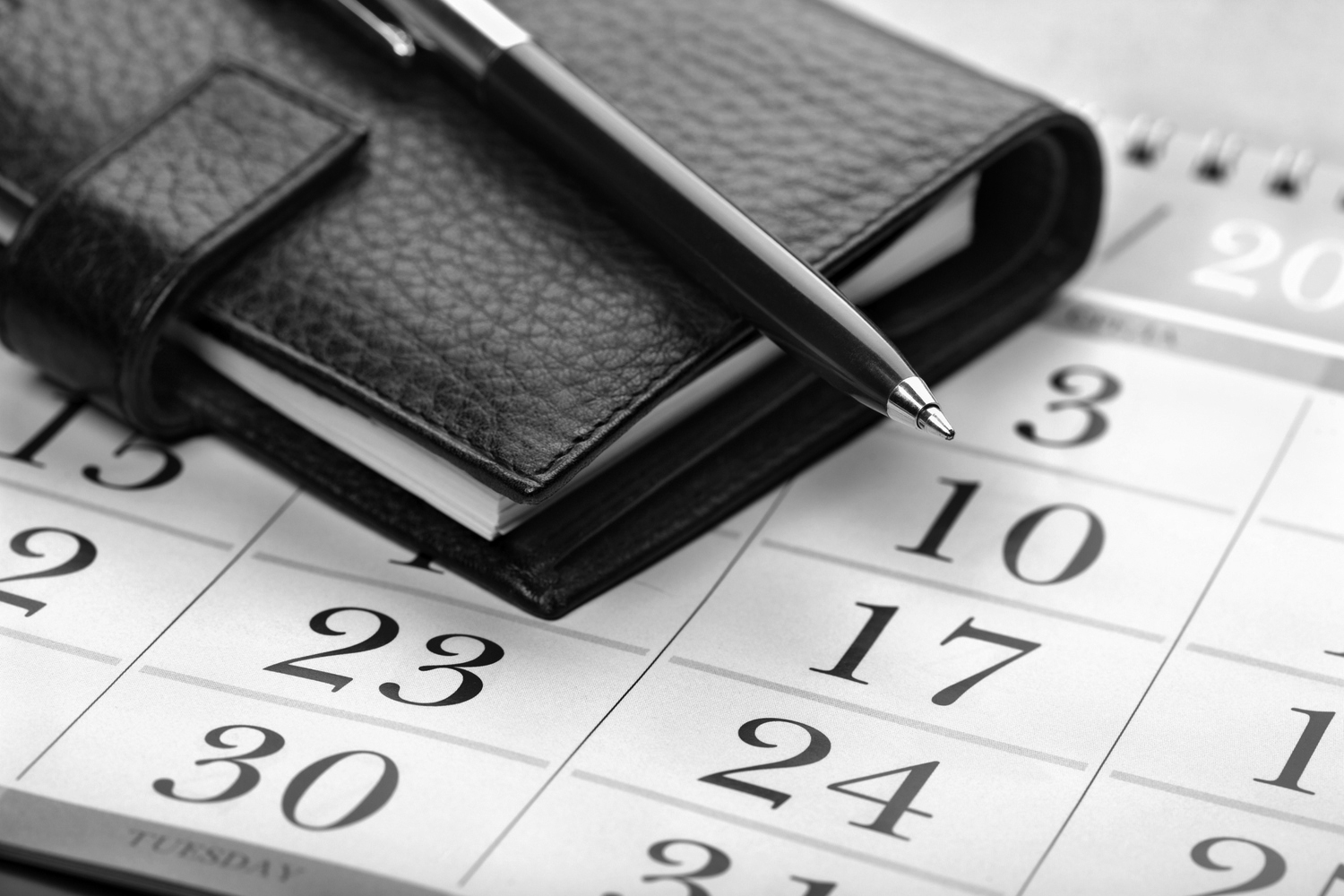 Back to Basics: Tips to Stay On Track This Semester – The State Times