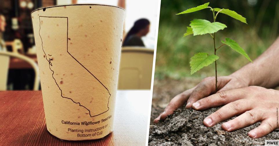 Reduce. Reuse. Grow. – The State Times