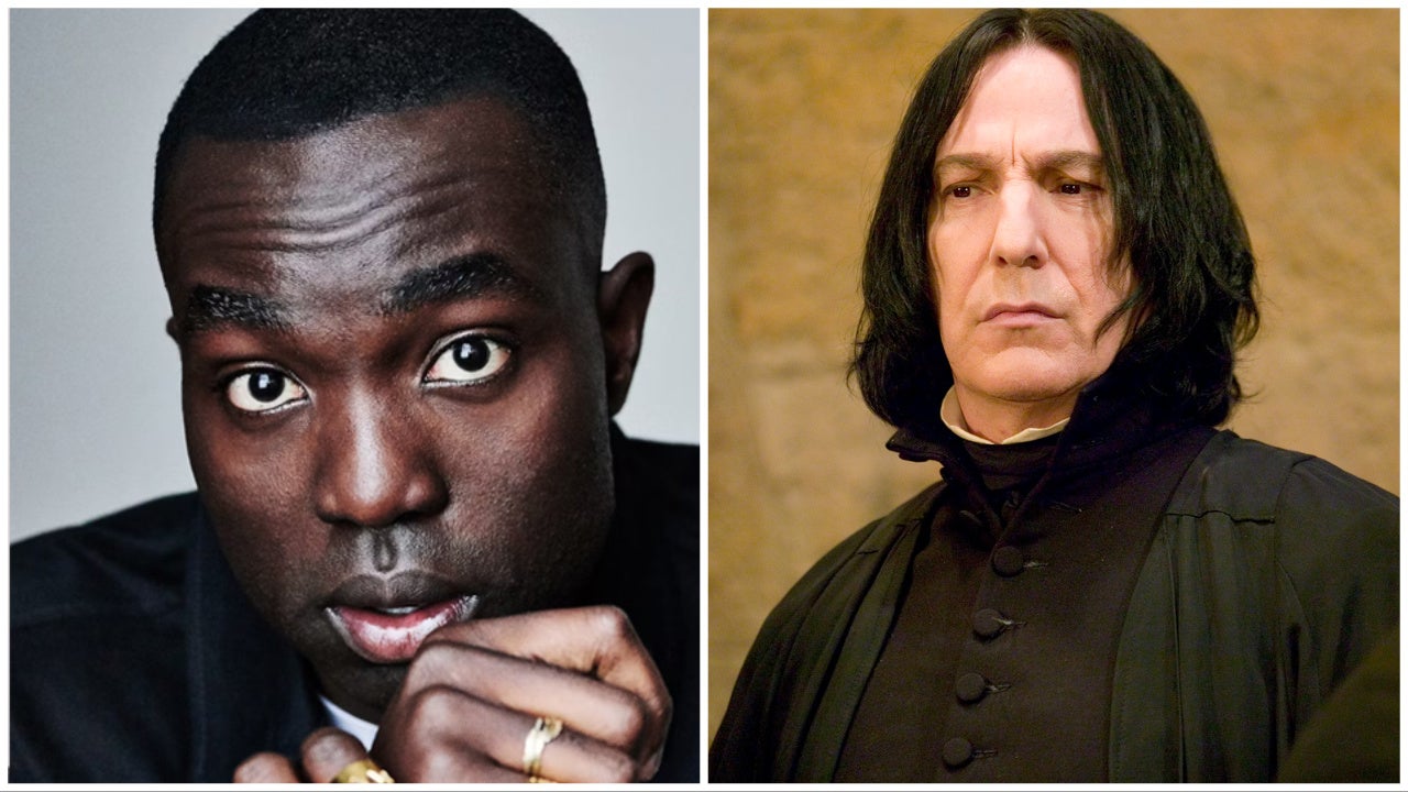 Harry Potter TV Series Cast List Released – The State Times